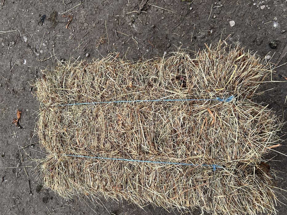 Vand baloti de fan de gradina din anul 2023 Intorsura Buzaului • OLX.ro