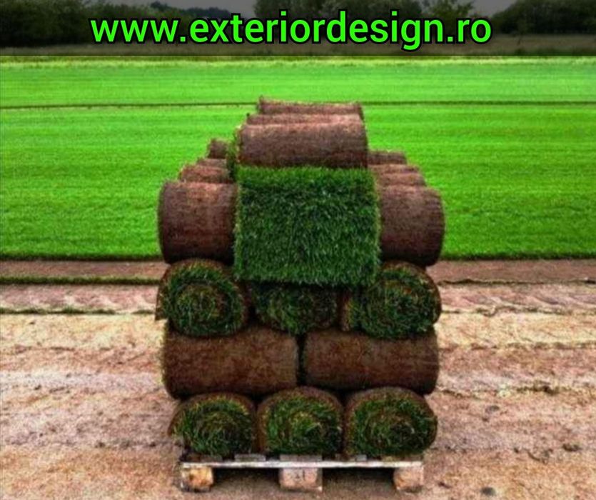 Gazon rulou, sport oferim transport montaj, Spati verzi Pitesti • OLX.ro