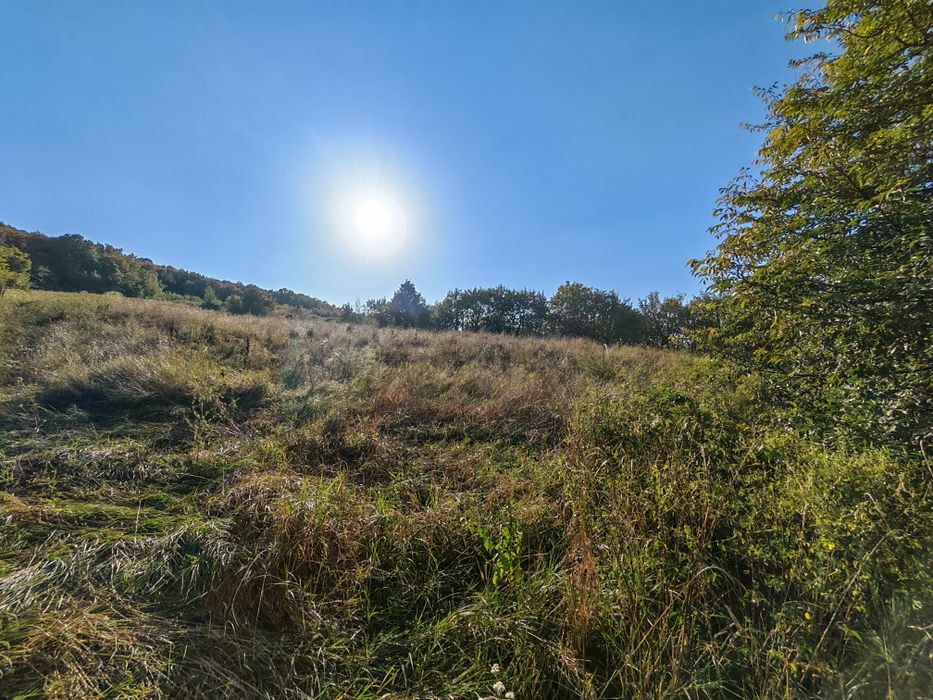 Teren Barnova, priveliste deosebita, langa padure Pietraria • OLX.ro
