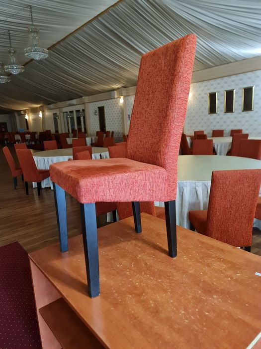 Vand 80 scaune din lemn masiv Cluj-Napoca • OLX.ro