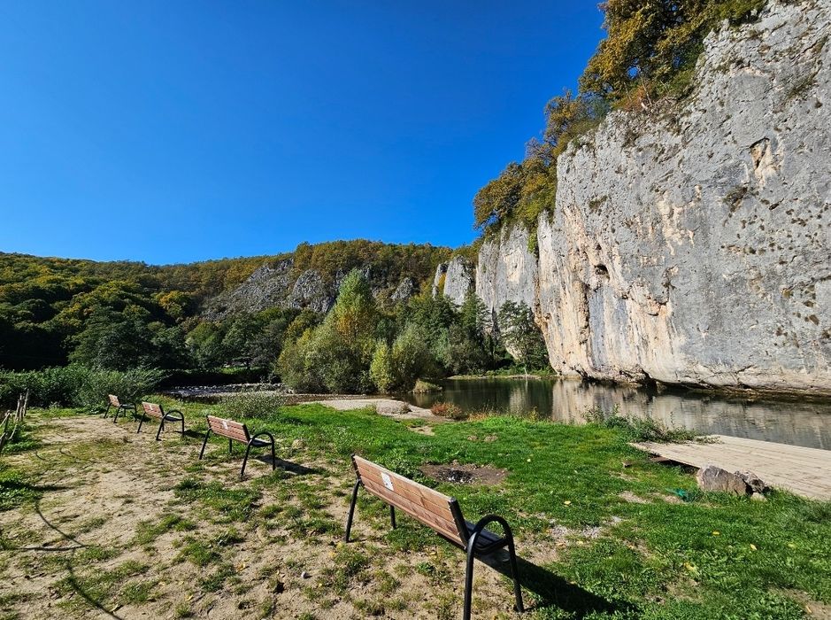 De vânzare Pensiunea Restaurant Gradia Șuncuiuș-Bihor Balnaca • OLX.ro