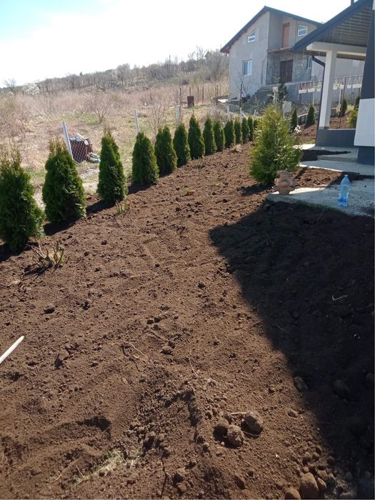 Amenajari Gradini ,curatare , dus gunoi etc Pamant Negru si Mranita ...