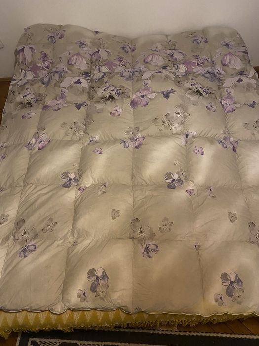 Plapuma puf / pene rata Bucuresti Sectorul 5 • OLX.ro