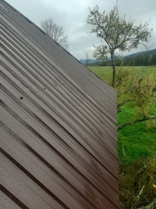 Tabla cutata maro Palici • OLX.ro