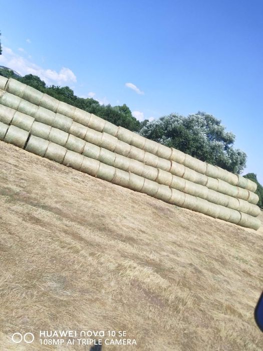 Бали сено 120/120 с. Раяновци • OLX.bg