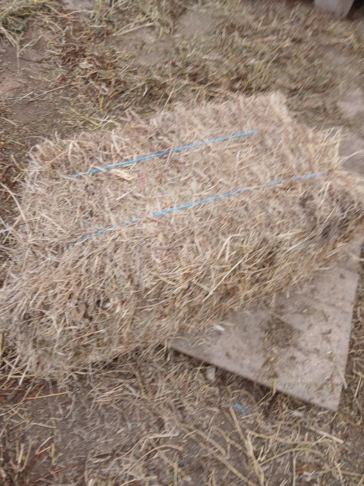 Baloti fan uscati Mohu • OLX.ro