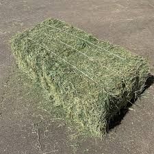 baloti lucerna de vanzare ' Anunturi ' OLX.ro