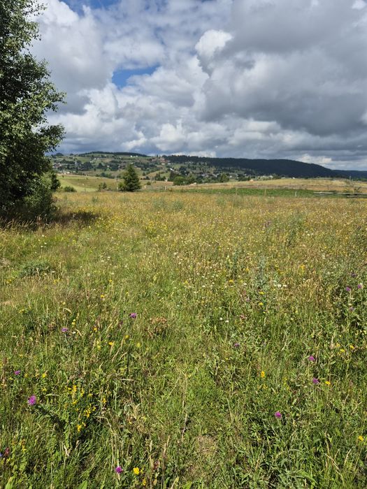 Teren de vanzare in Marisel,panorama frumoasa, drum asfaltat Cluj ...