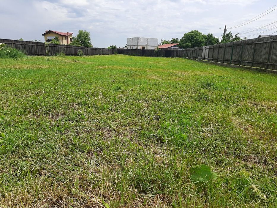 Teren Intravilan 1000 m² Peris • OLX.ro