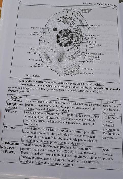 Compendiu: Anatomia și Fiziologia omului-Corint Campulung • OLX.ro