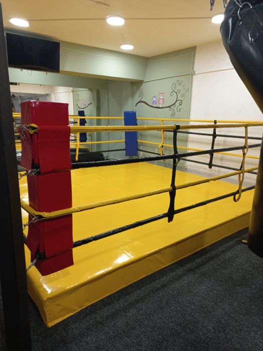 Corzi ring de box Bucuresti Sectorul 2 • OLX.ro