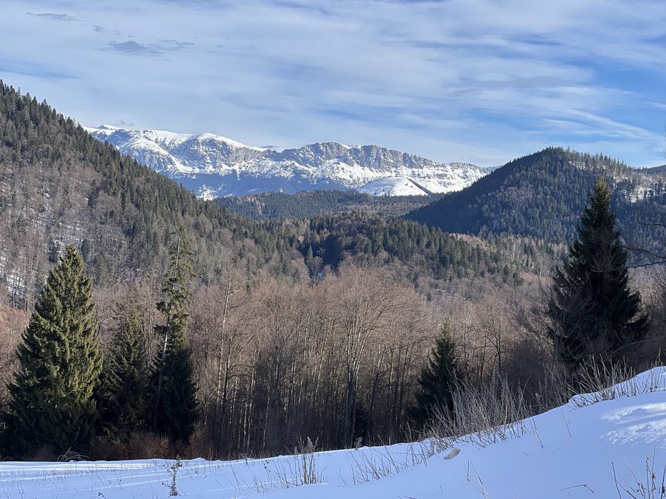Teren cu priveliste la 4 munti-bucegi, piatra craiului,iezer si leaota ...
