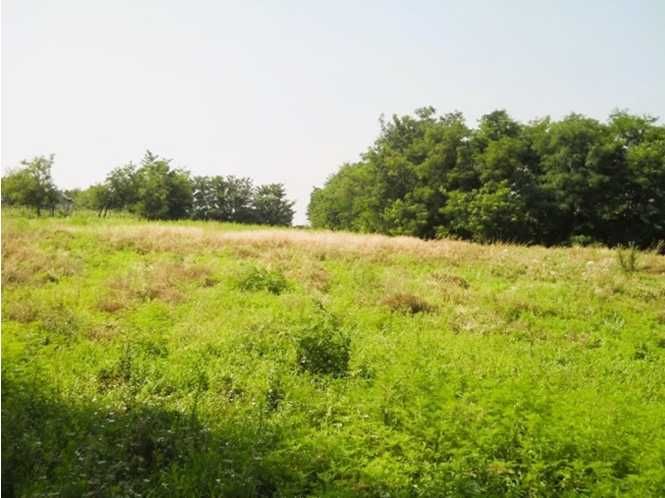Casă în stil conac + 17.800 mp teren intravilan – proprietate unică ...