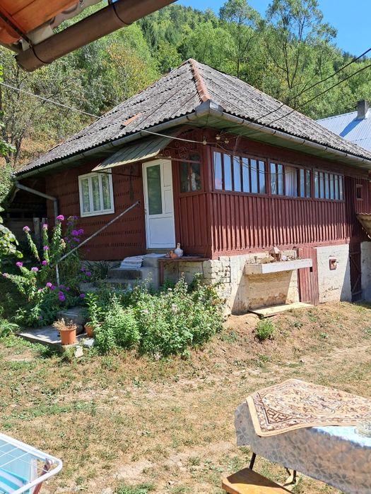 Vând casă în com Albac Albac • OLX.ro