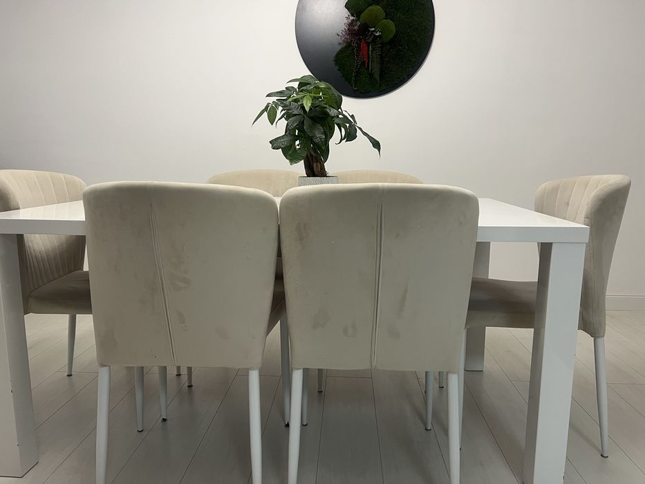 Masa cu 6 scaune mobexpert Sibiu • OLX.ro