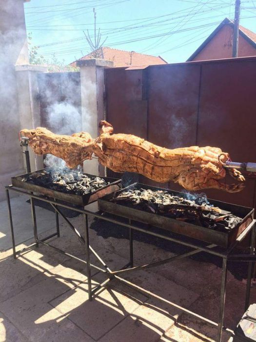 Protap rotisor electric 12/220V din inox nou purcei miei berbecut oaie ...