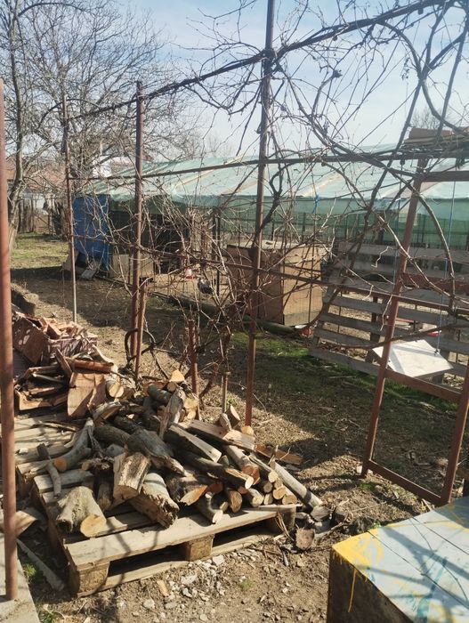 Tevi din fier vechi Deva • OLX.ro