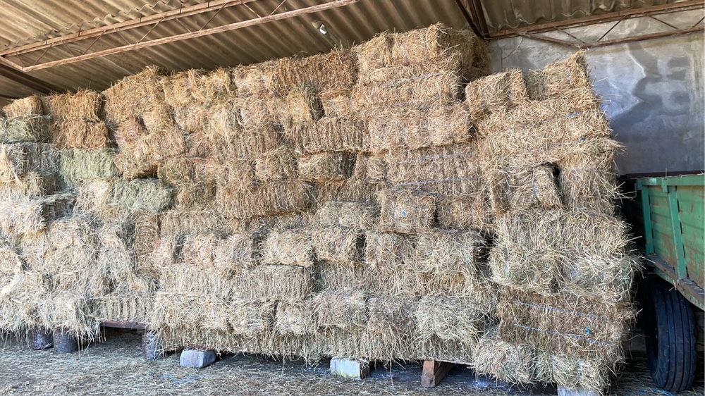 Baloti de fân 2024 Sarmizegetusa • OLX.ro