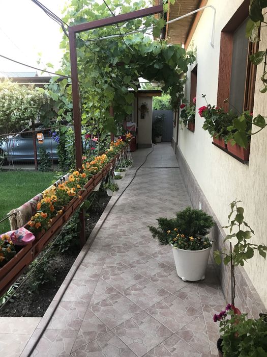 Vânzare casa Cernica Cernica • OLX.ro