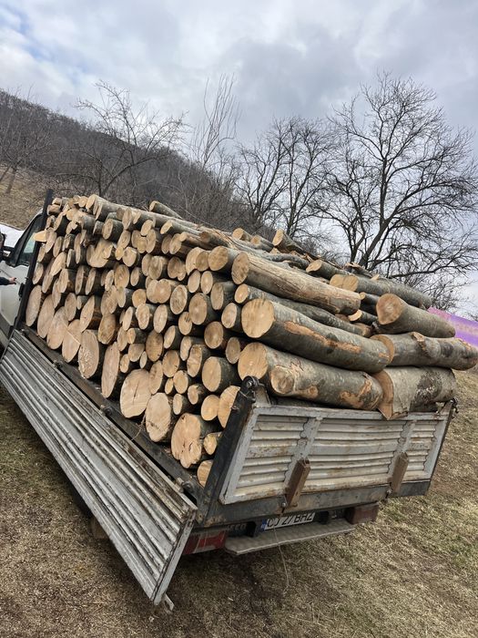 Vind lemne de focc Cluj-Napoca • OLX.ro