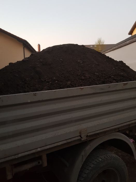 Pamant gradina vegetal negru Bucuresti Sectorul 3 • OLX.ro