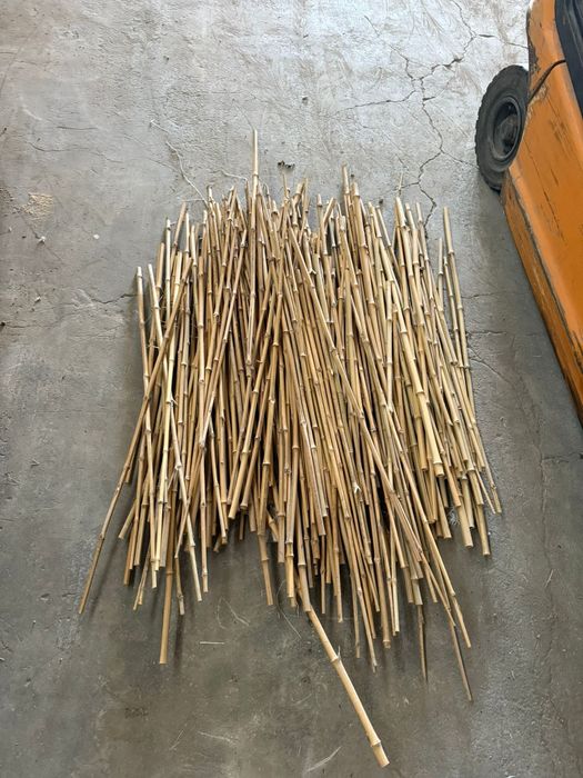 Vand Araci Bambus Timisoara • OLX.ro