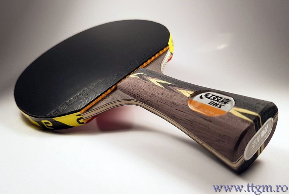 Paleta tenis de masa (ping pong) G12 / GTT45 Craiova • OLX.ro