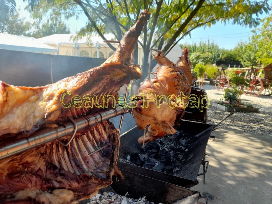 Berbecut la protap si catering Bucuresti Sectorul 3 • OLX.ro