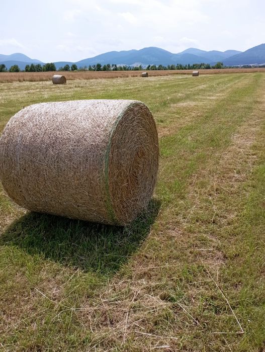 baloti fan de vanzare ' Anunturi ' OLX.ro