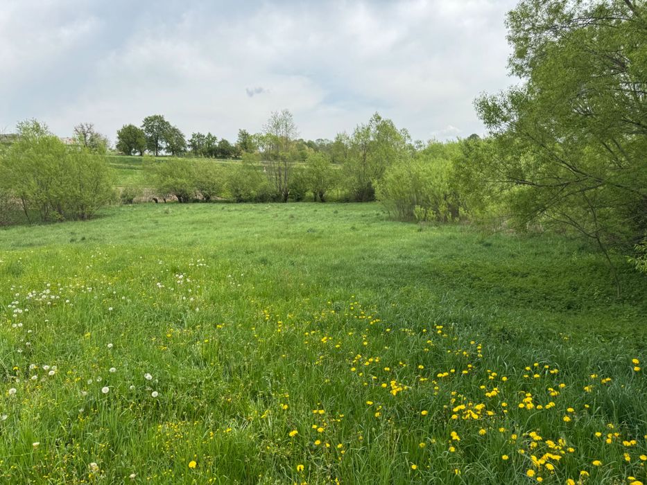 Teren intravilan Poieni Solca Poieni-Solca • OLX.ro