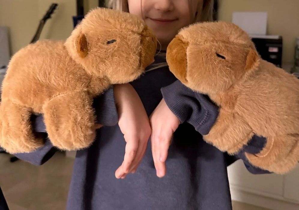 Plus capybara stil brățară/panda Bucuresti Sectorul 6 • OLX.ro