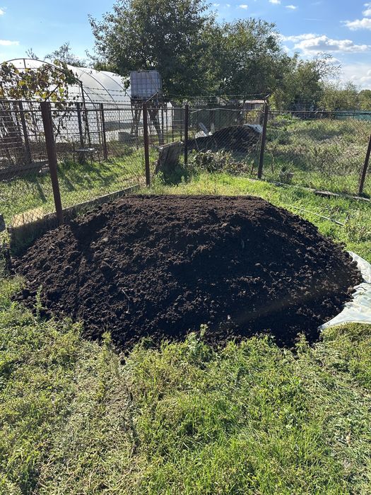 Mranita ingrasamant natural Dragomiresti-Deal • OLX.ro