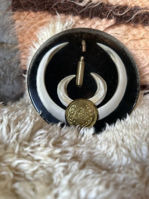 Trofeu mistret rasina epoxidica Vermesti • OLX.ro