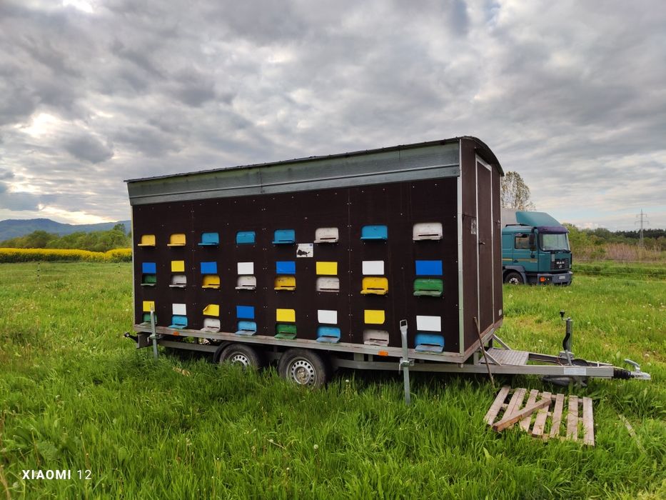 Pavilion omilogat apicol Dobarlau • OLX.ro