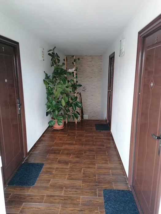 Chirie studenti, utilitati incluse. Vila zona Delfinariu Constanta • OLX.ro