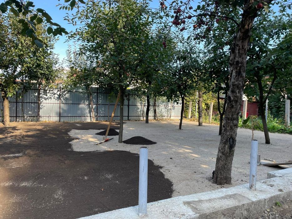 Intreținere spații verzi, amenajat gradini,taieri pomi,spălat presiune ...