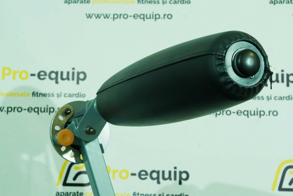 Matrix G3 extensii spate /lombar /back extension aparat fitness Iasi ...