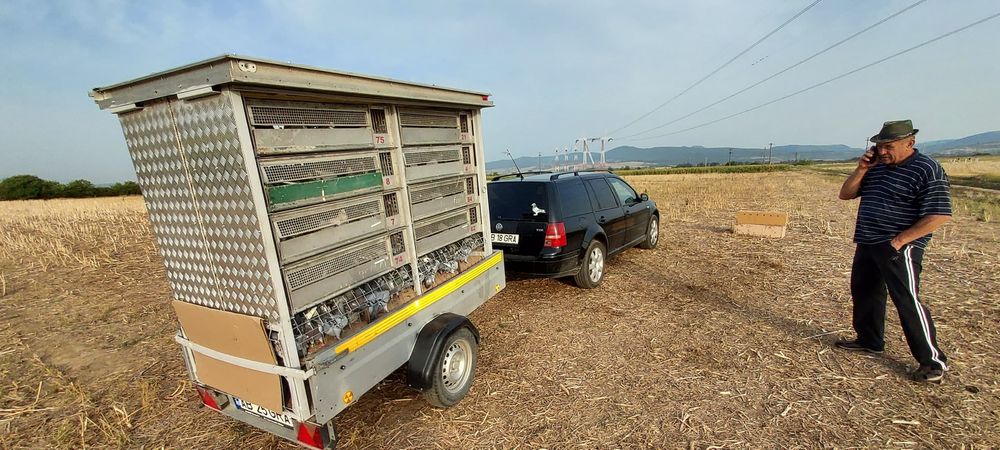 Vând remorca+container transport porumbei Cugir • OLX.ro