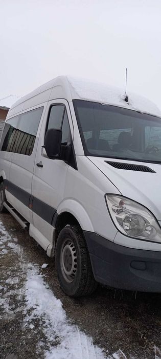 Vând microbuz adaptat Mercedes Sprinter Timisoara • OLX.ro