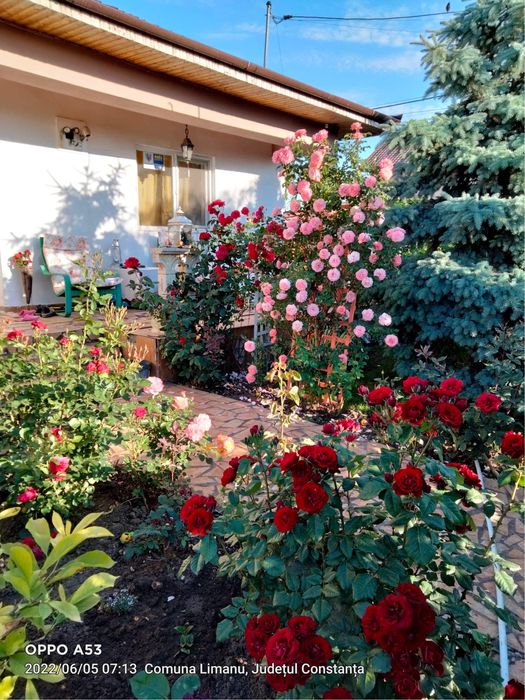 De vanzare Limanu Mangalia Jud Constanta Limanu • OLX.ro