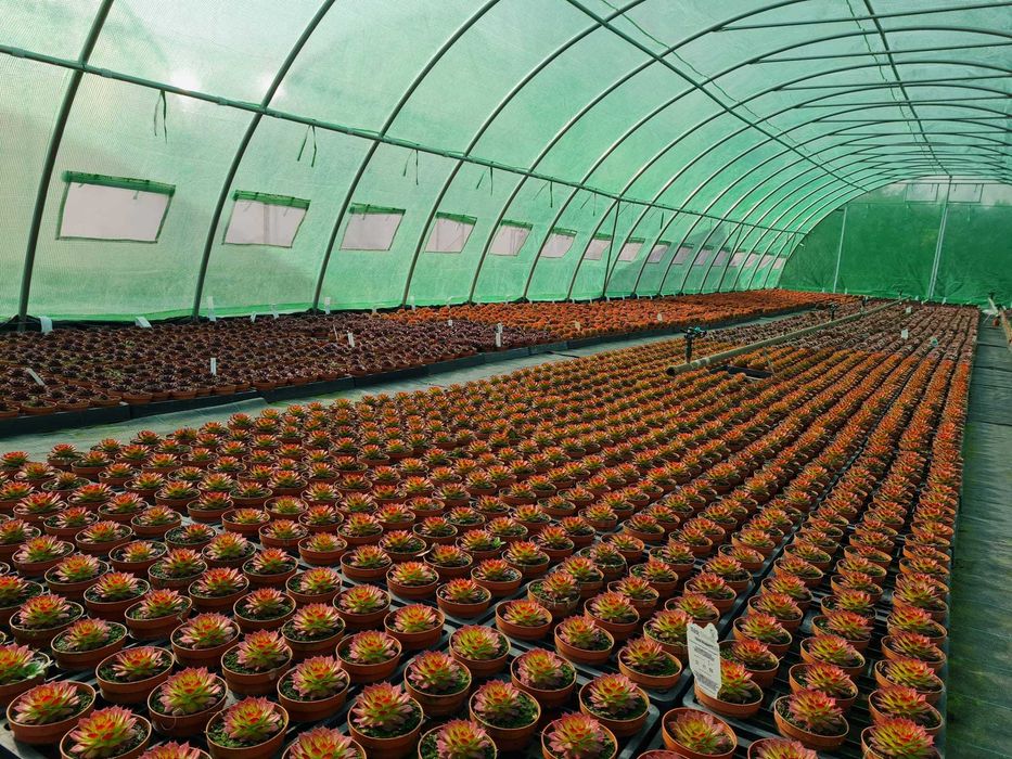 SOLAR SERA TEAVA GALVANIZATA folie armata diferite marimi Ab Timisoara ...