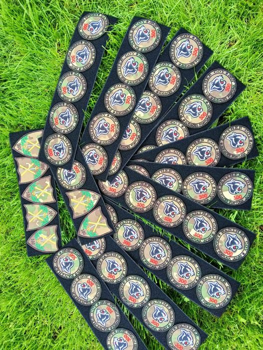 Grade militare / embleme militare Sibiu • OLX.ro