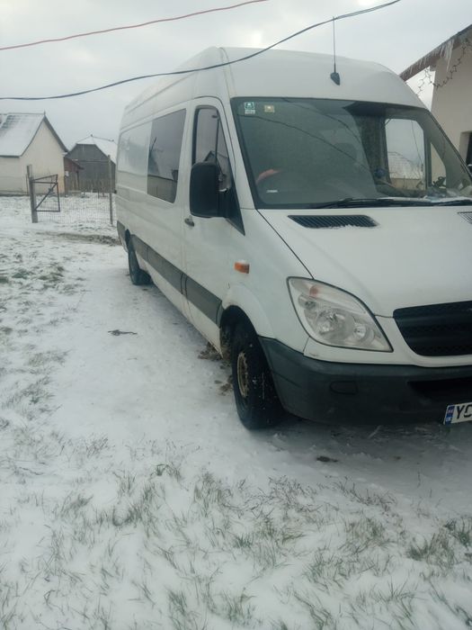 Mercedes sprinter Arbore • OLX.ro