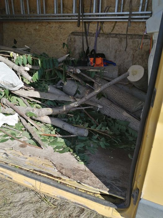 Taiere/Toaletare copac, copaci,pomi ,defrisare teren,Scoatere Radacina ...