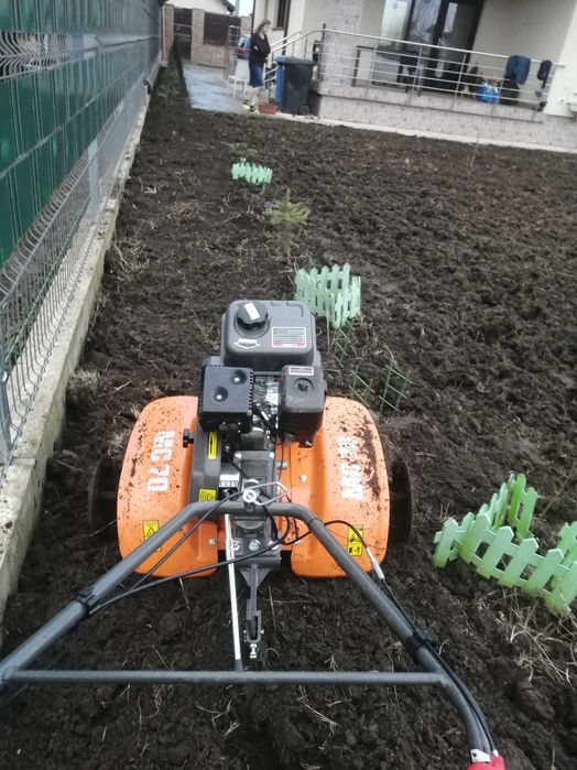 Taiere/Toaletare copac, copaci,pomi ,defrisare teren,Scoatere Radacina ...