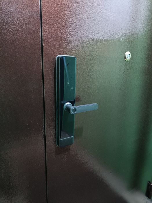 Умный смарт-замок Smartex lock X07 - Прочие двери и комплектующие ...