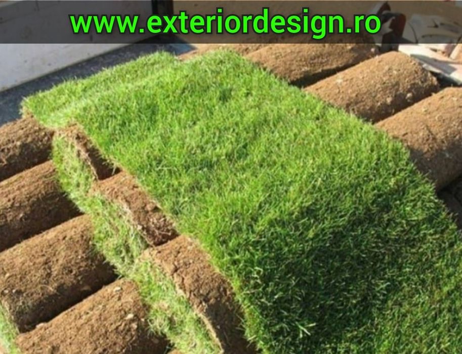 Gazon rulou Sport, Amnajam spații verzi gazon plante etc Buzau • OLX.ro