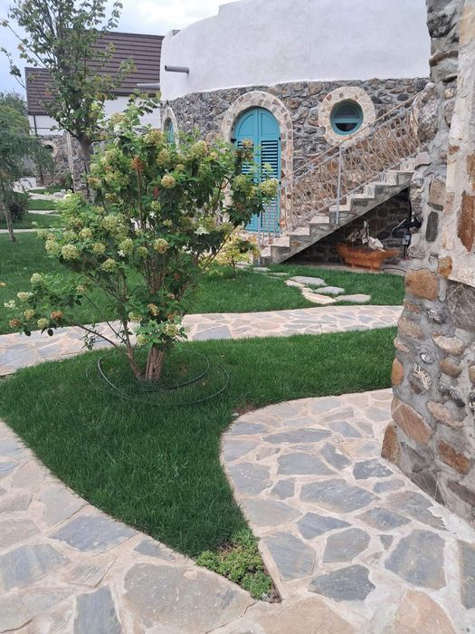 Gazon rulouri amenajare gradină cu copacii ornamentalii Sibiu • OLX.ro