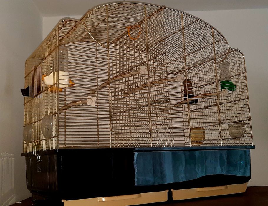 Colivie cu separator ,pt canari,papagali,etc Bucuresti Sectorul 3 • OLX.ro