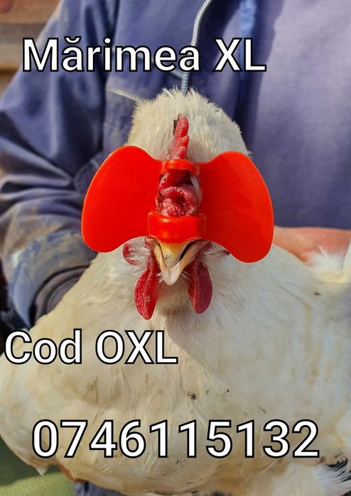 OXL-Ochelari Gaini Pauni Cocosi Fazan Pasari-FARA STRAPUNGERE NAZALA ...